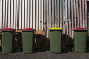 Guide: What You Need to Know About Western Australian Bin Laws